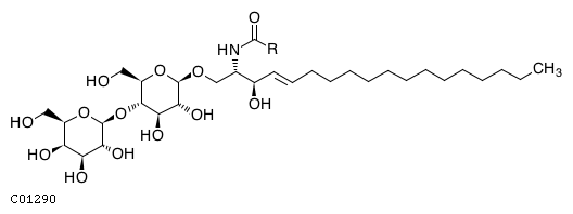 Glycolipids